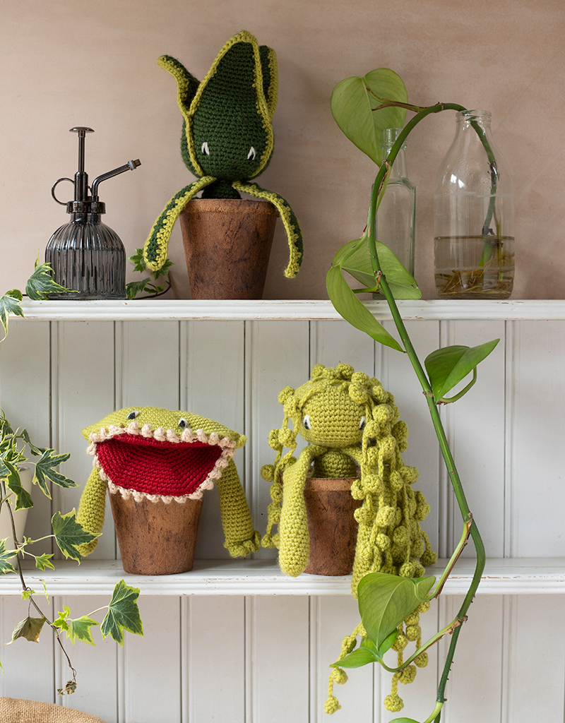 Coir Pot Bundle for Display | TOFT