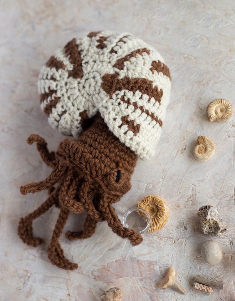 Ammonite Crochet Pattern | TOFT