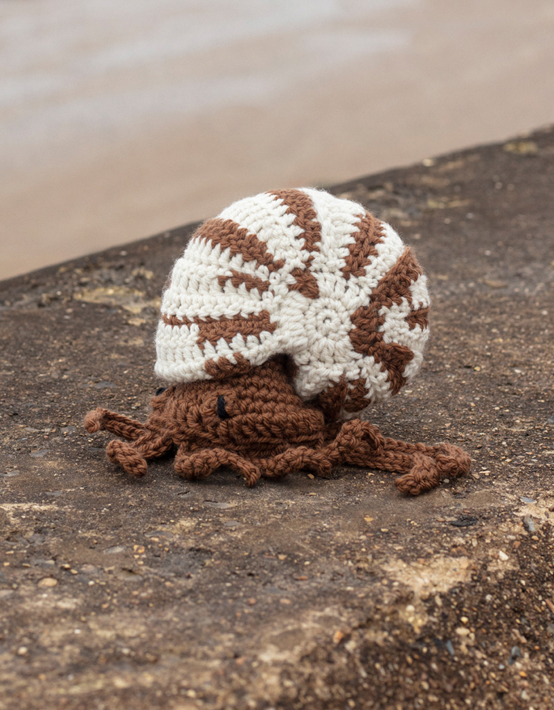 Ammonite Crochet Pattern | TOFT