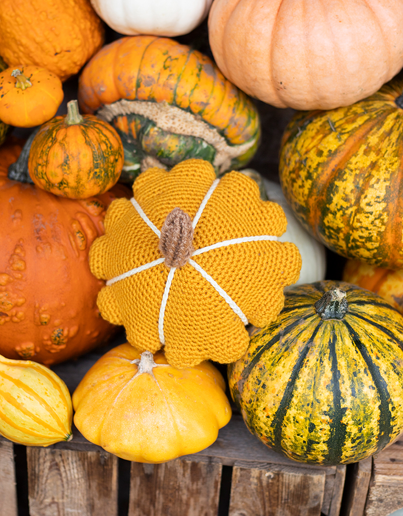 Crochet Your Own Patty Squash Vegetable Kit | TOFT