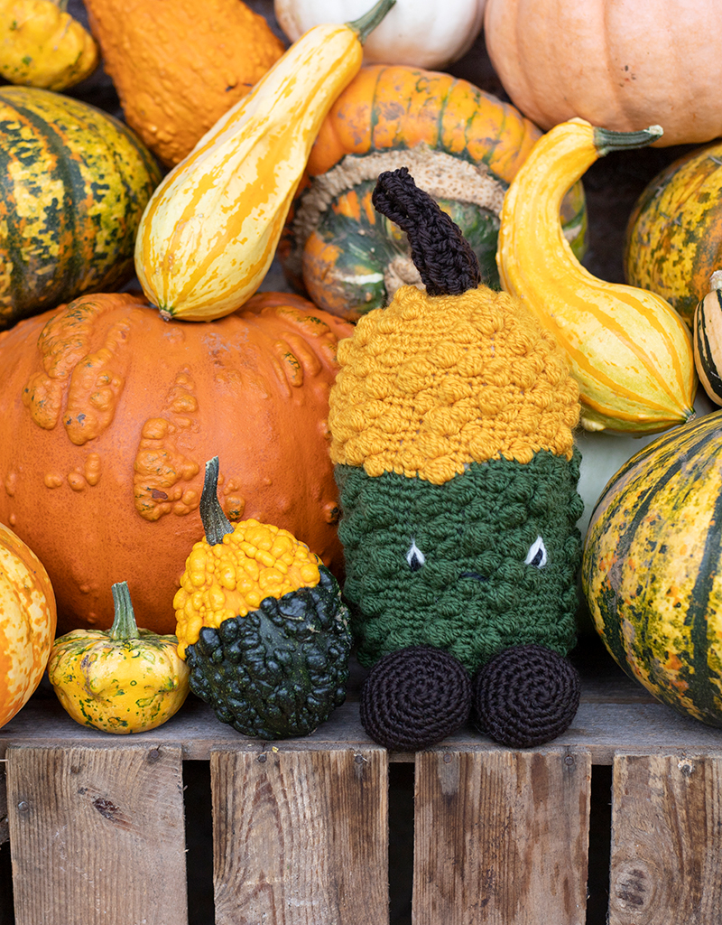 Crochet Your Own Gourd Vegetable Kit | TOFT