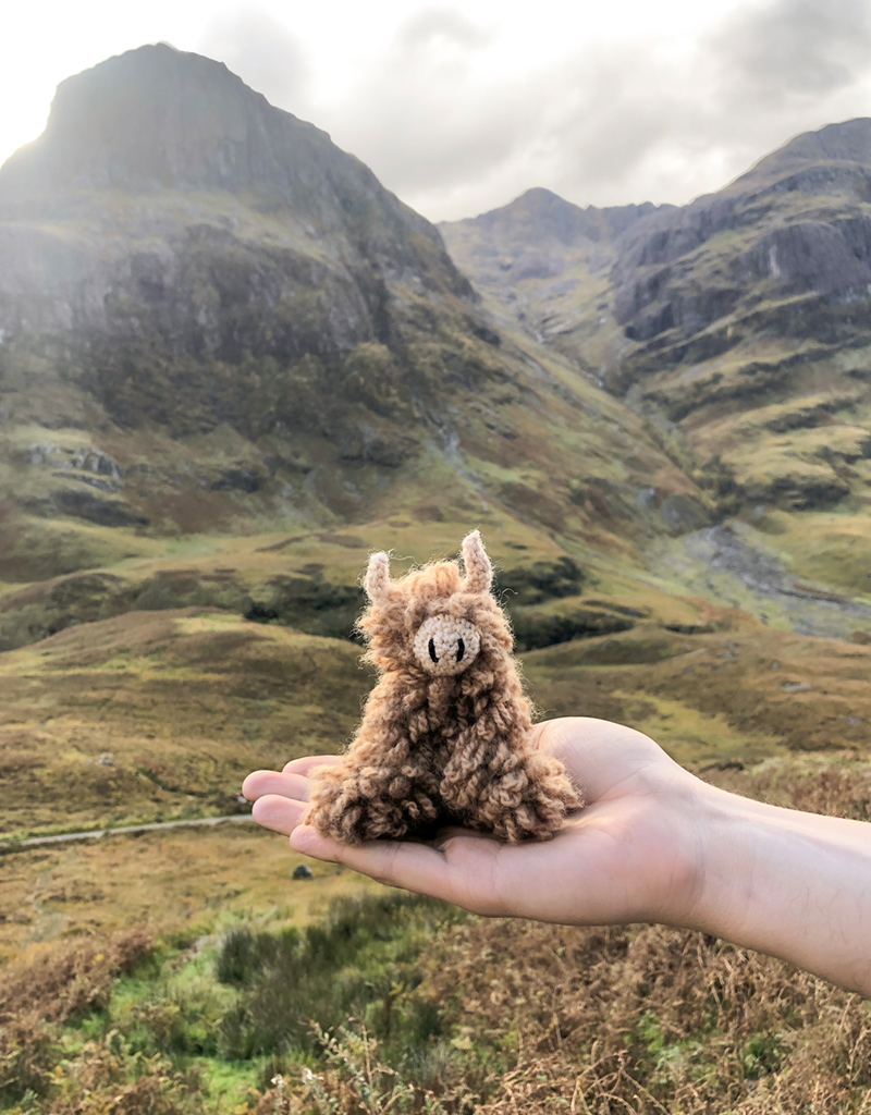 Croft Discovery Gift Box| TOFT