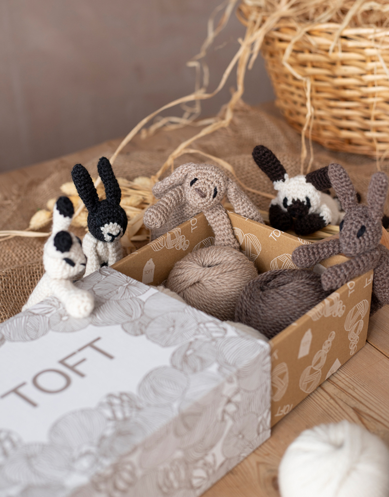 Mini Warren Discovery Gift Box | TOFT