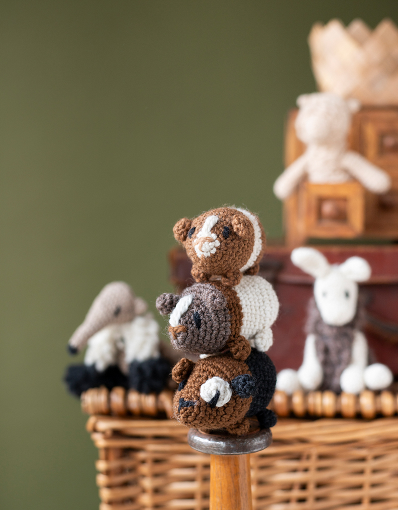 Grasslands Discovery Gift Box| TOFT