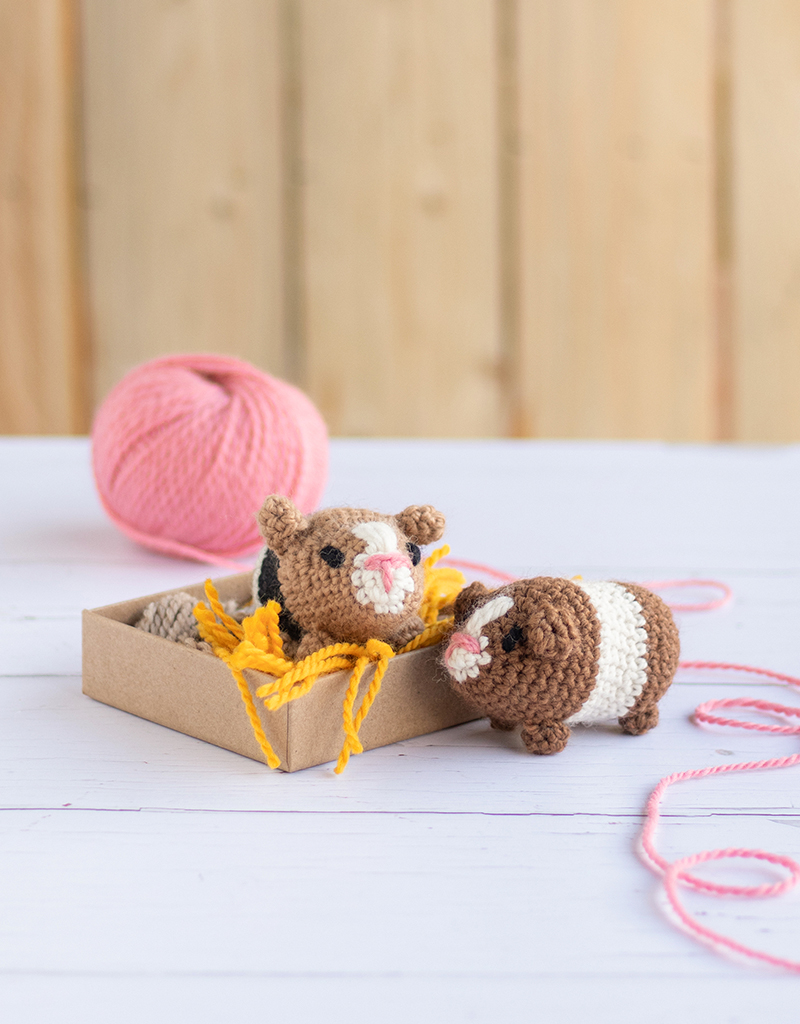 Crochet Guinea Pig Gift Box | TOFT