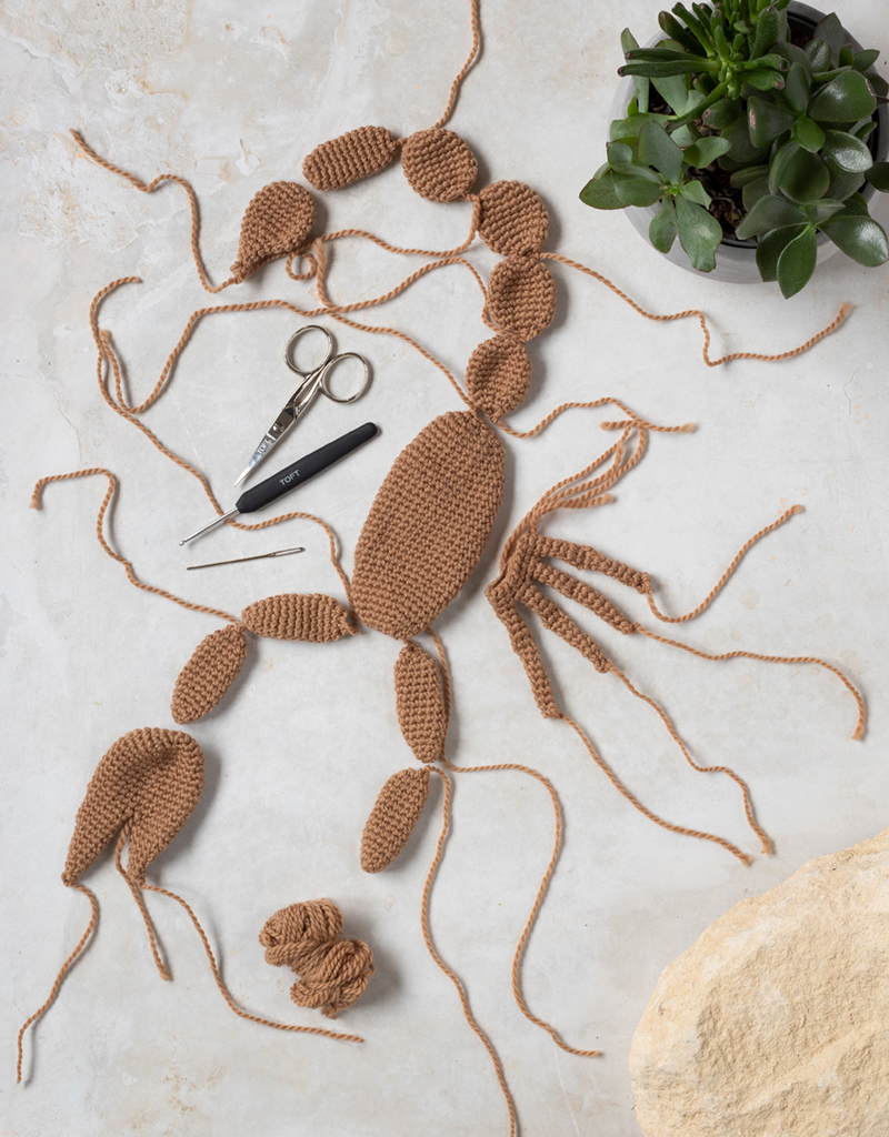 Scorpion Crochet Project | TOFT