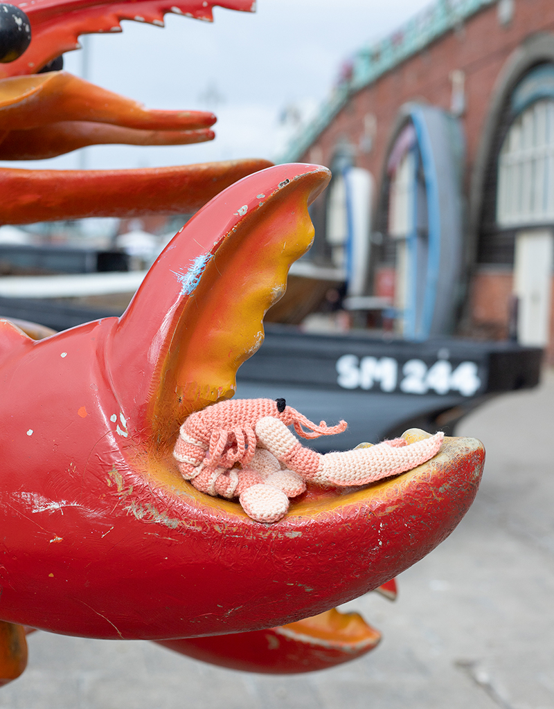 Crustacean Yarn Bundle | TOFT