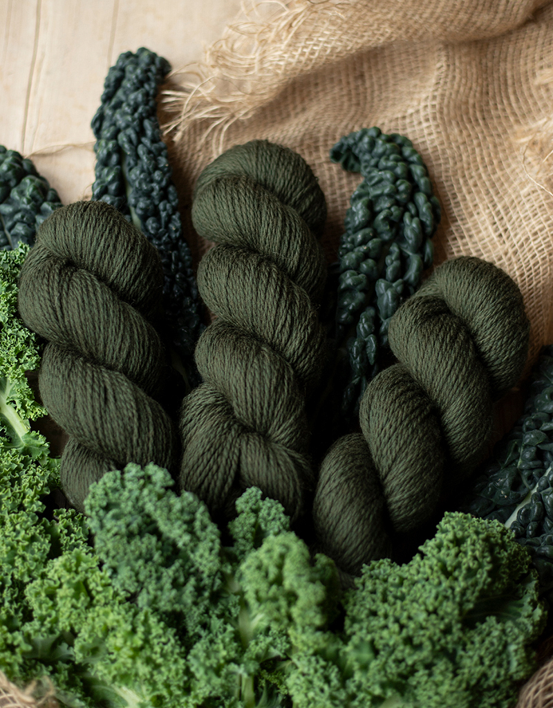 100g DK Yarn for Knitting & Crochet | TOFT