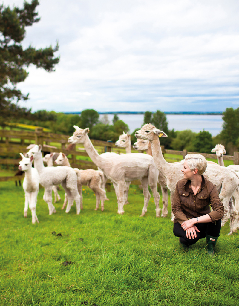 TOFT Quarterly Digital Editions: Autumn 2016 | TOFT