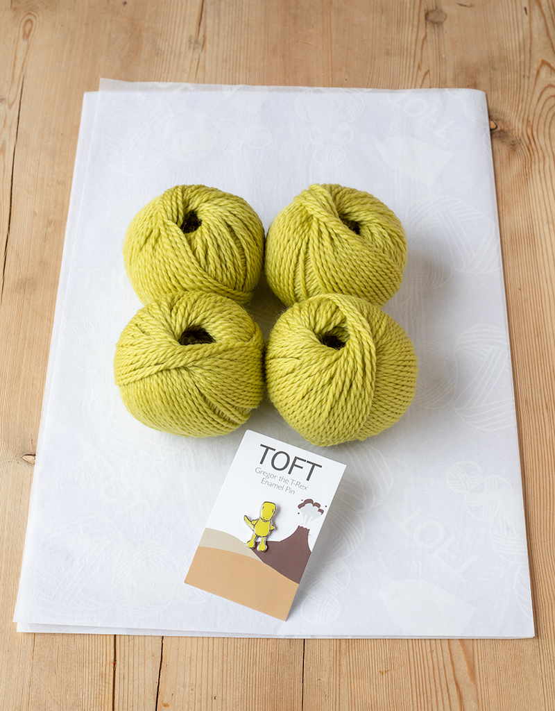 T-Rex Crochet Dinosaur Bundle | TOFT