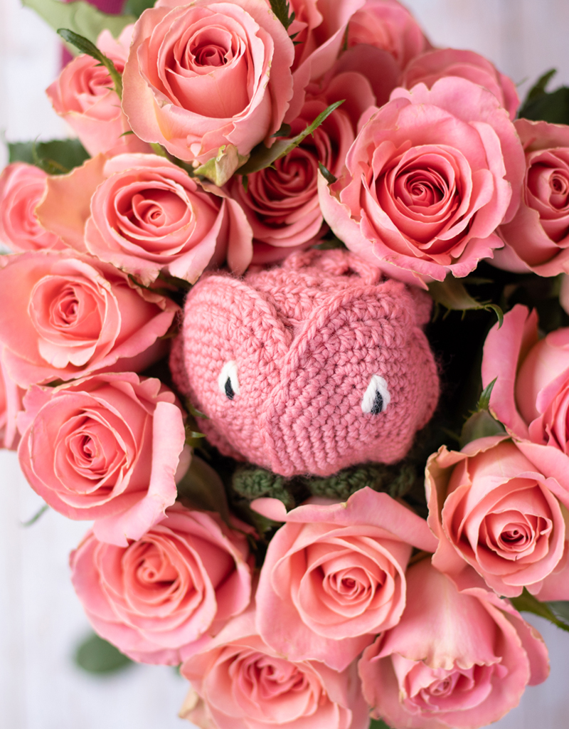 Ultimate Alexandra's Garden Wool Bundle | TOFT