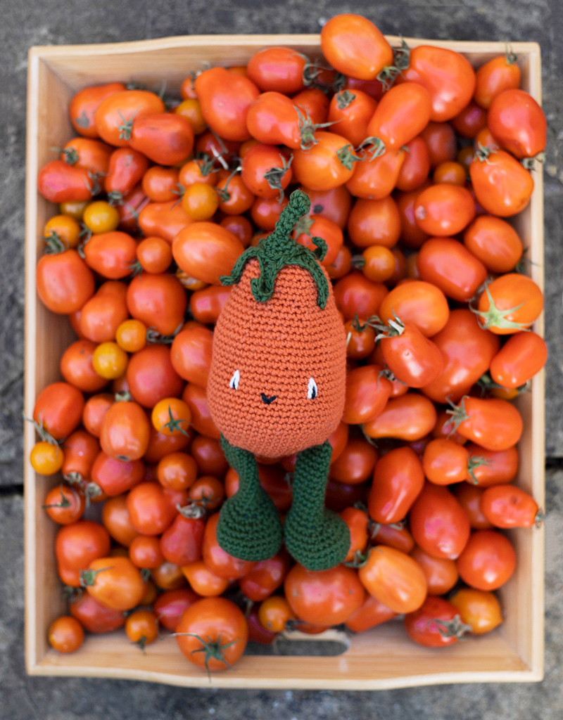 Crochet Your Own Tomato Vegetable Kit | TOFT