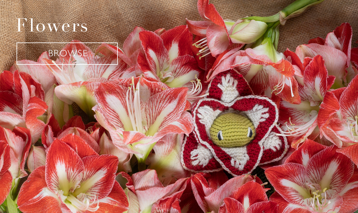 TOFT: British Wool Yarn and Patterns for Knitting and Crochet