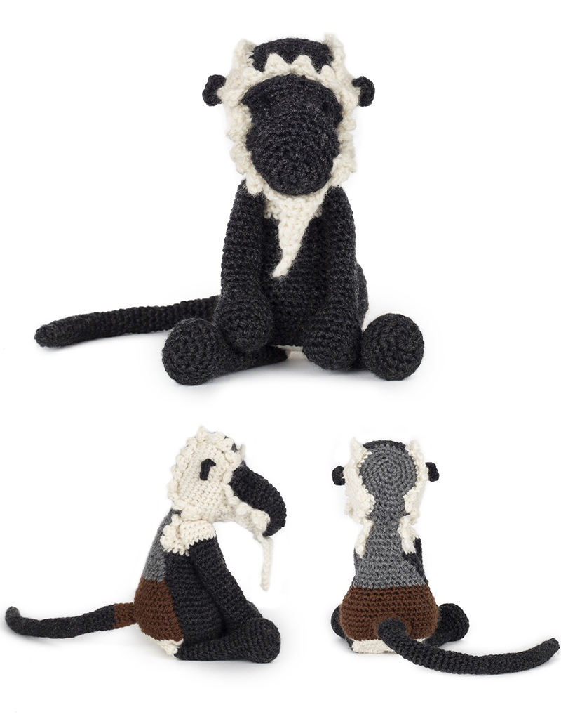 Sal the Roloway Monkey | Edward's Menagerie by Kerry Lord