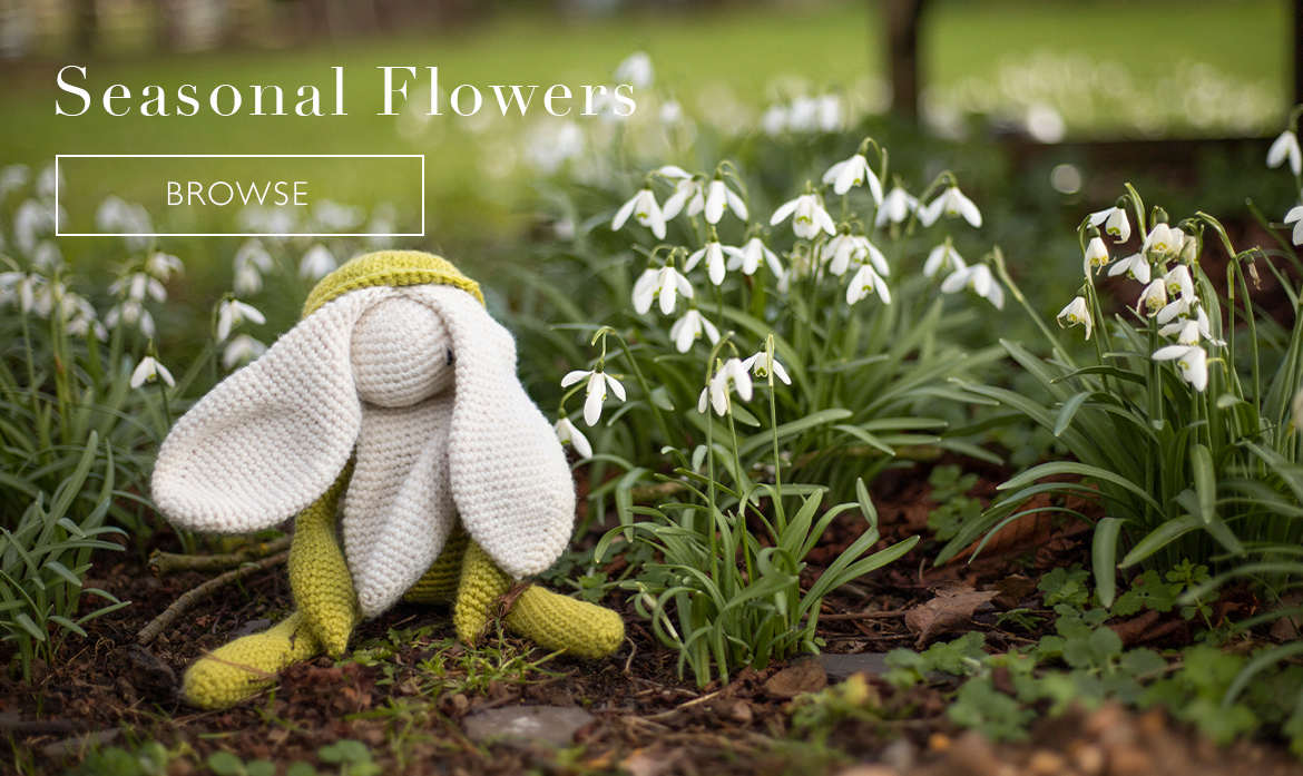 TOFT: British Wool Yarn and Patterns for Knitting and Crochet